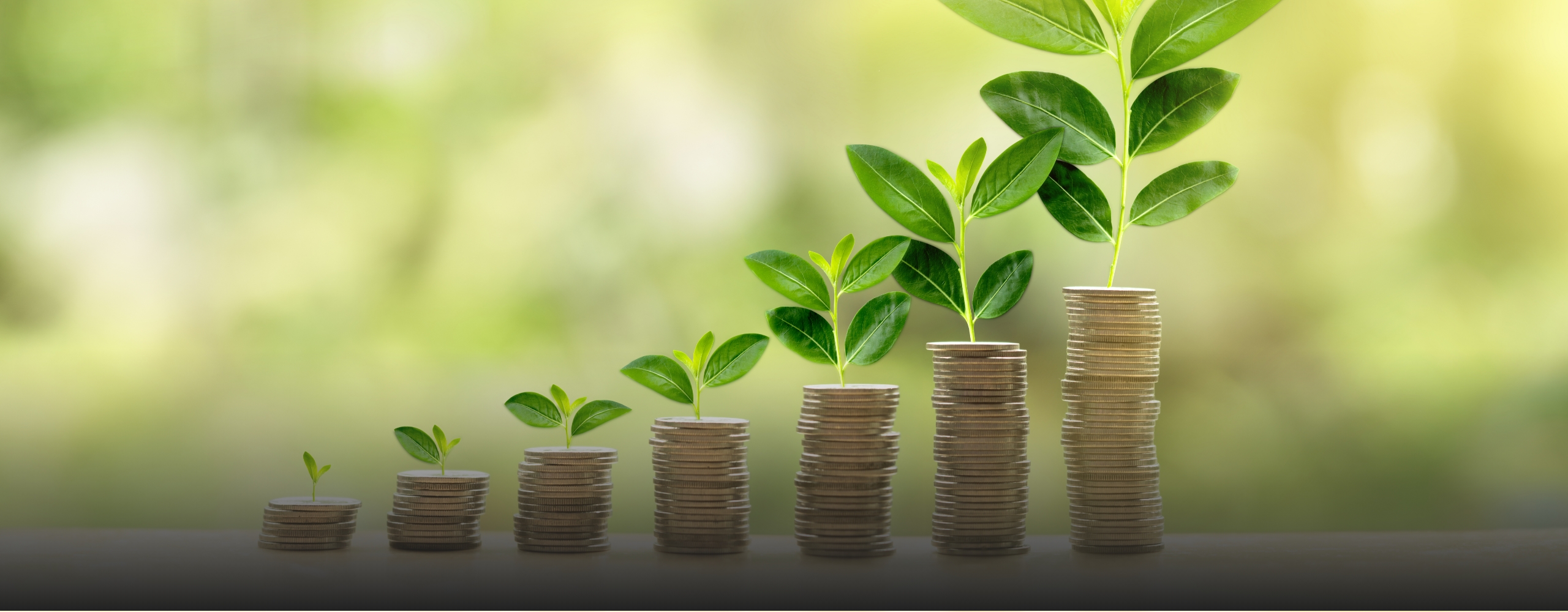 Wealth Management | Aston Crest | Lake Mary, FL : Aston Crest